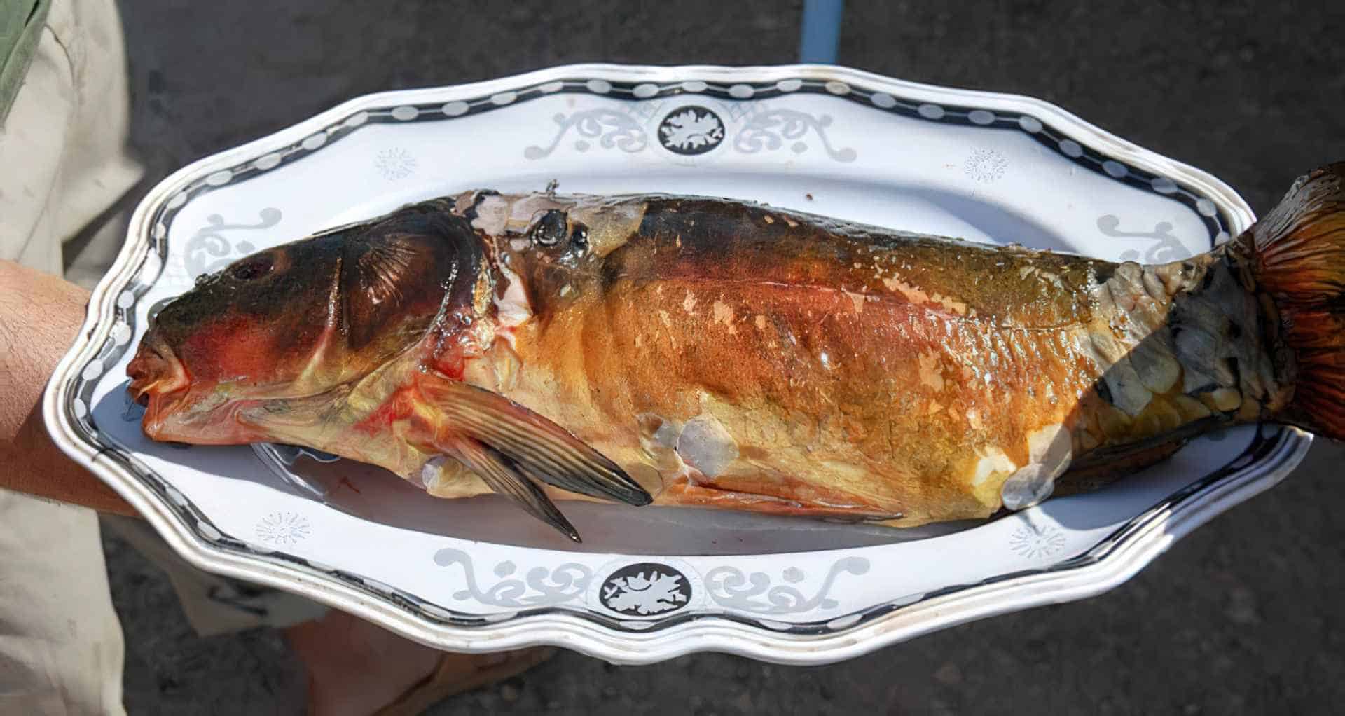 Gastronomía de Oriente Próximo: Platos principales