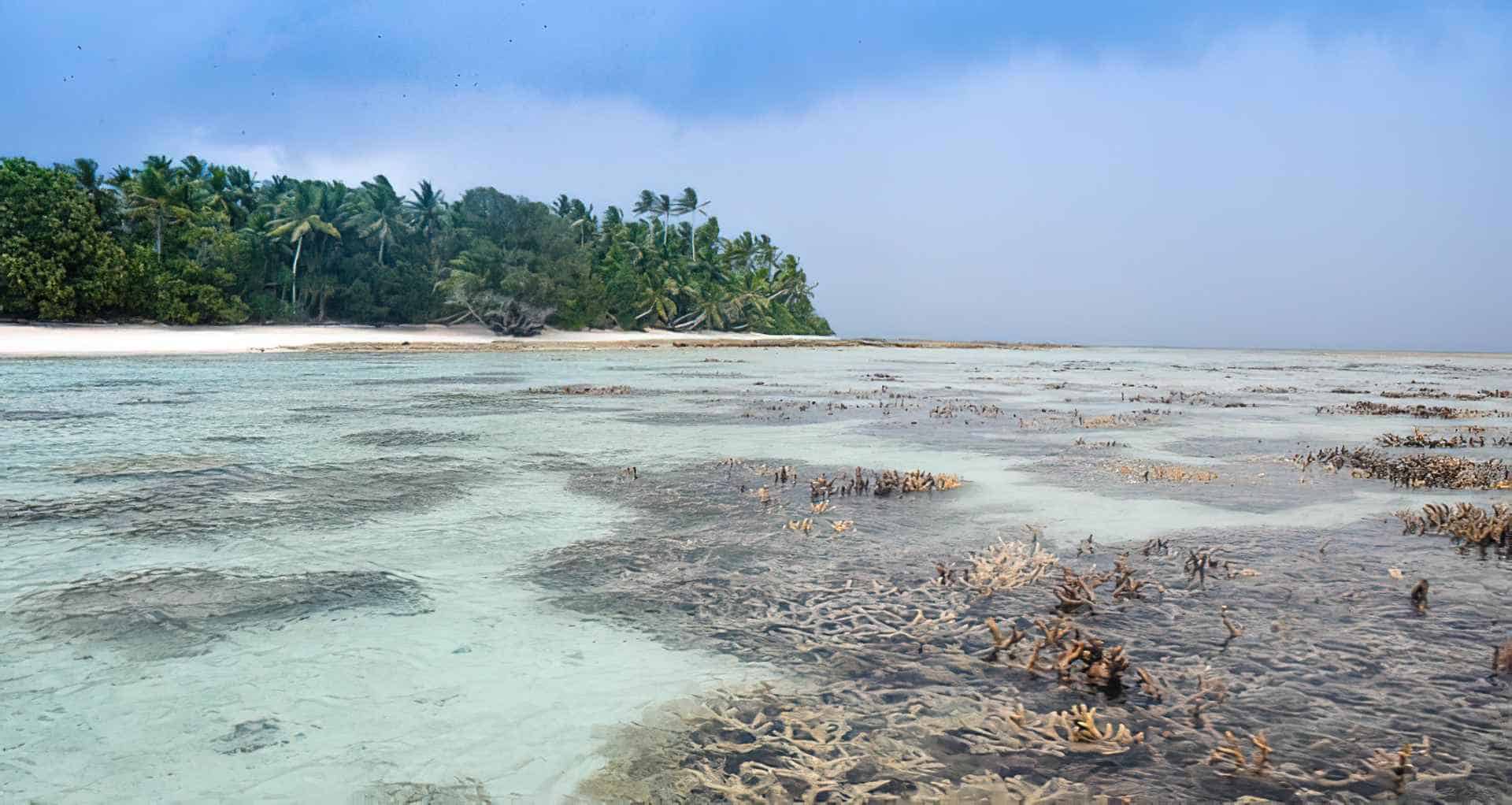 El Área de Conservación Marina de Funafuti