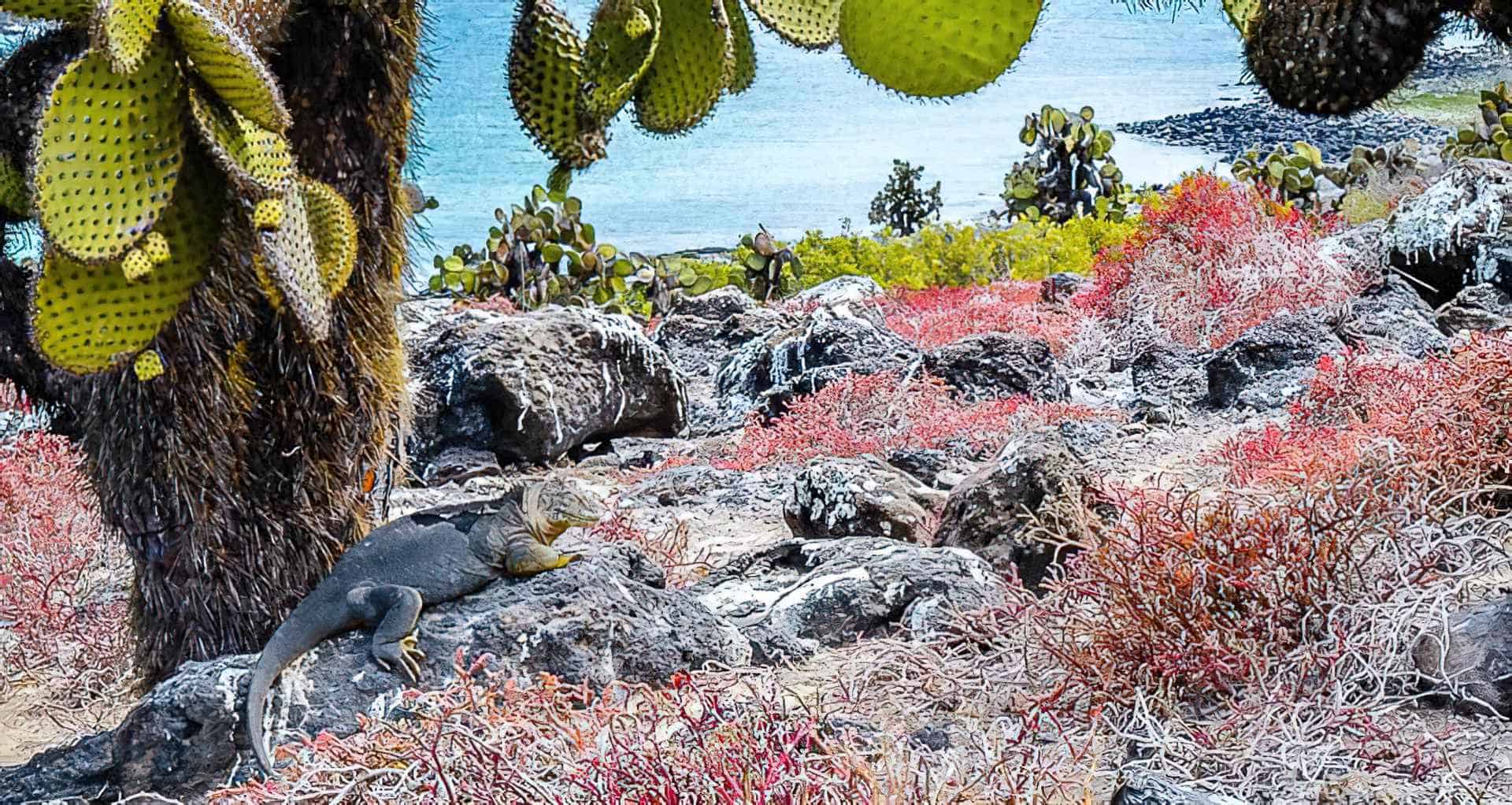 Excursión a Plaza Sur, la isla del paraje marciano