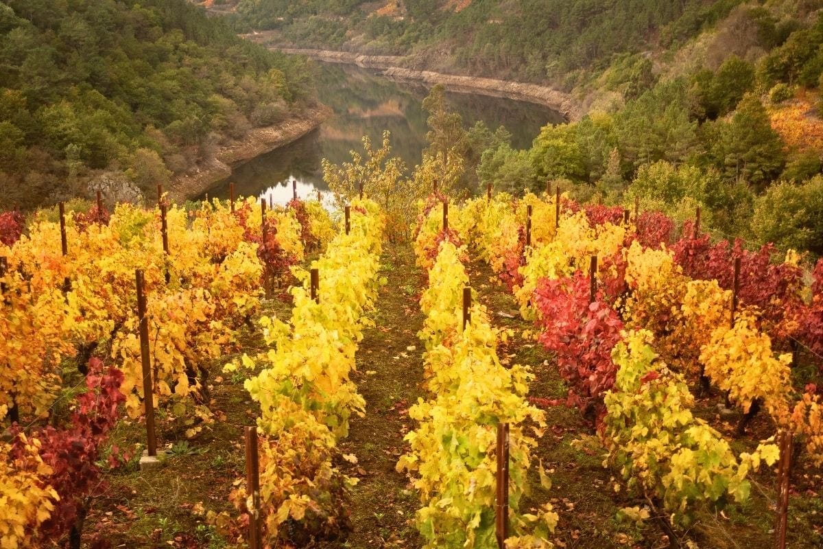 Qué ver en la Ribeira Sacra (imprescindibles con mapa detallado)