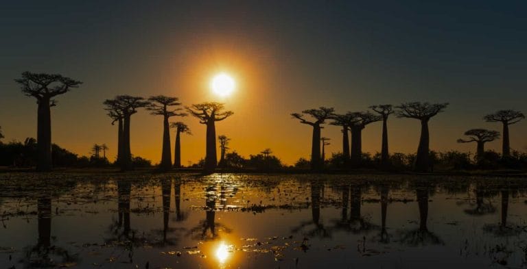 Madagascar | Guía | Blog de viaje de experiencias reales