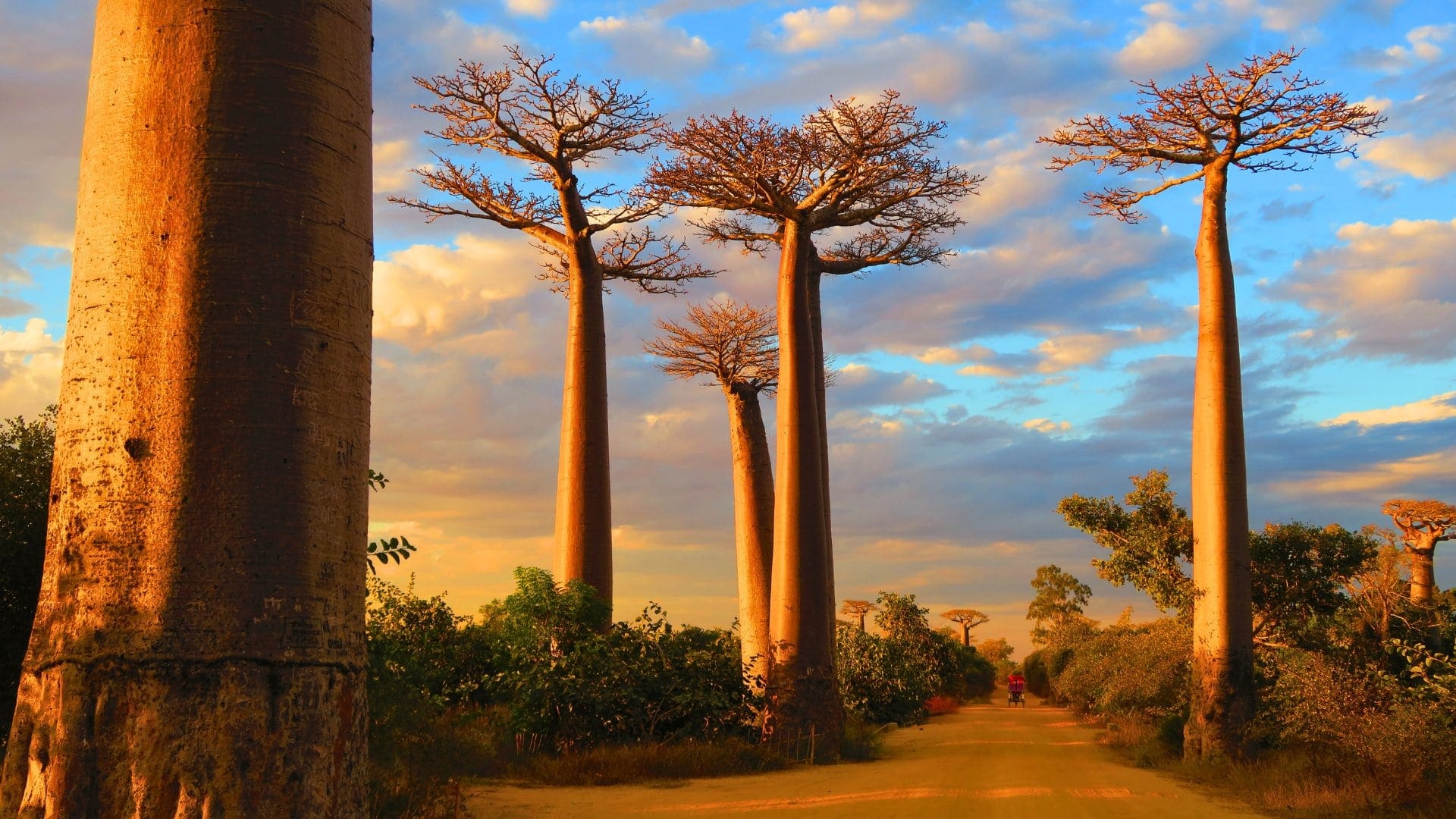 Madagascar | Guía | Blog de viaje de experiencias reales